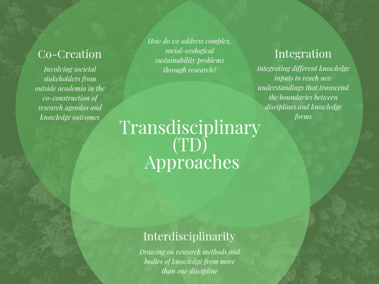 Supporting and Developing Competencies for Transdisciplinary ...