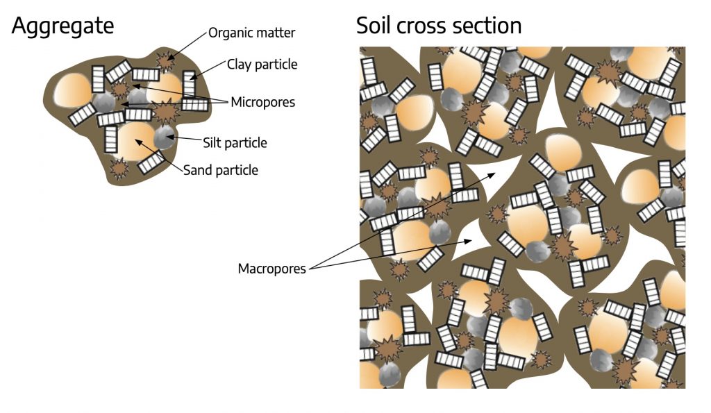 12.1 Soils, Fertility, and Plant Growth – The Science of Plants