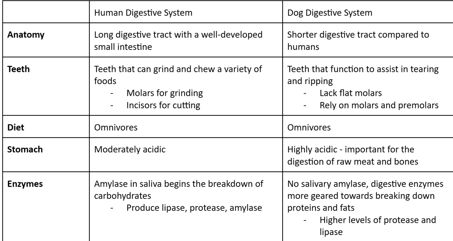 What Happens When Dogs Eat Raw Meat? Exploring GI Physiology and Raw Meat Consumption in Dogs ...