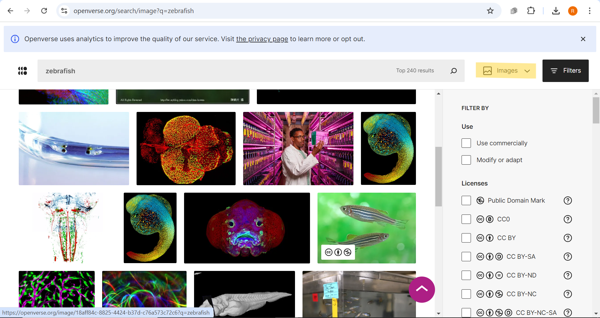 Finding Openly Licensed Images – Lesson plans for GI physiology topics Finding Openly Licensed Images – Lesson plans for GI physiology topics